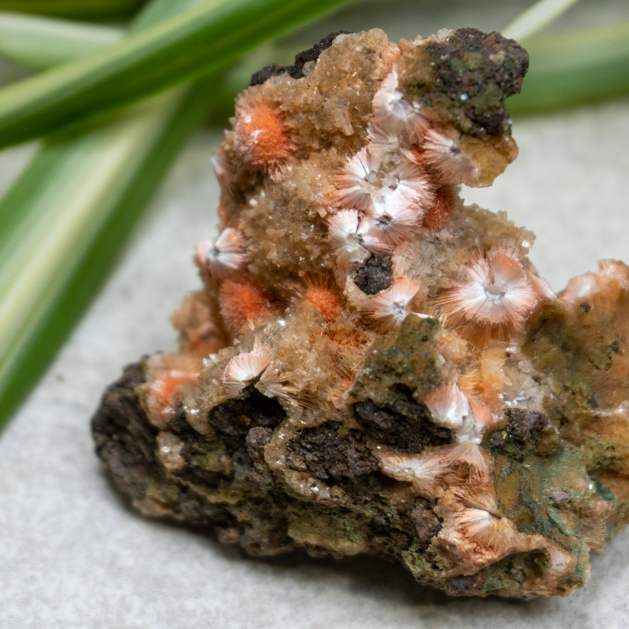 Raw Thomsonite #25 - The Crystal Council