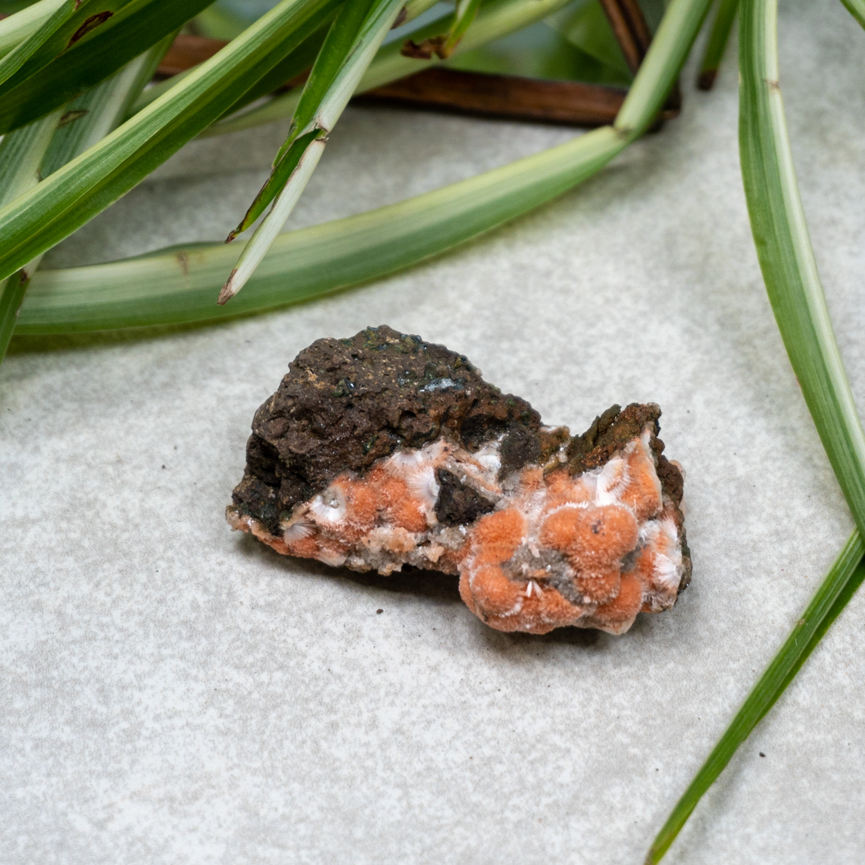 Raw Thomsonite #23 - The Crystal Council