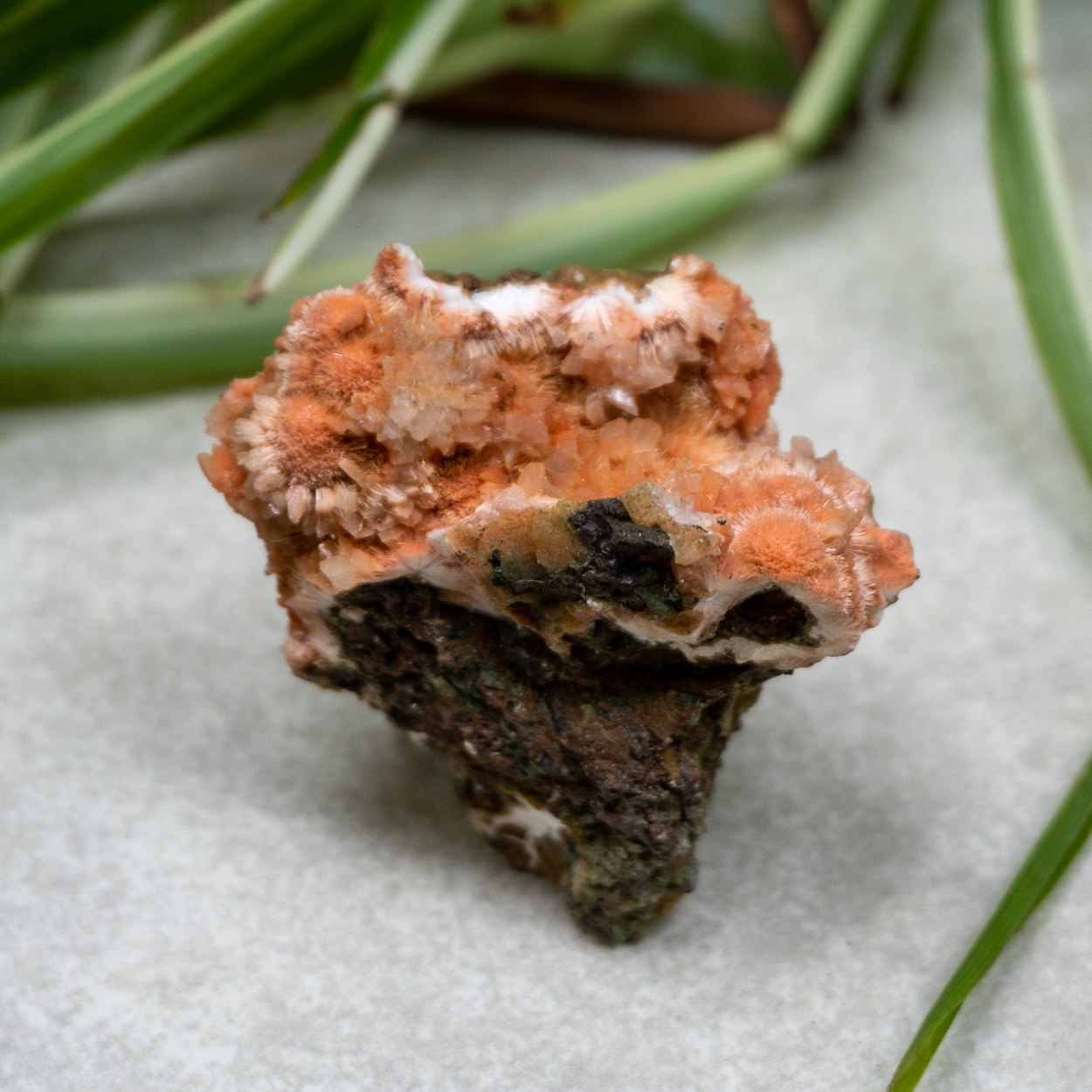 Raw Thomsonite #22 - The Crystal Council