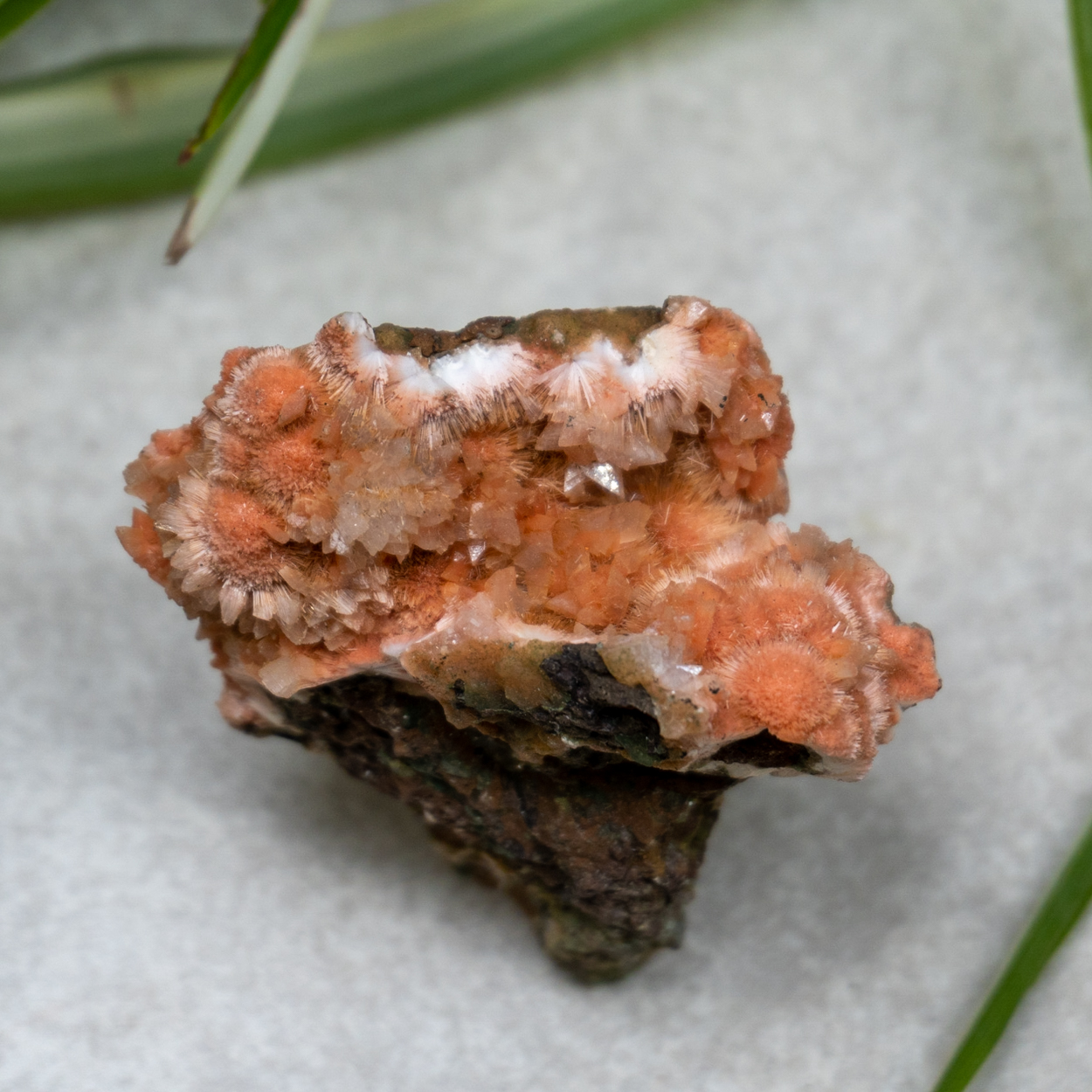 Raw Thomsonite #22 - The Crystal Council