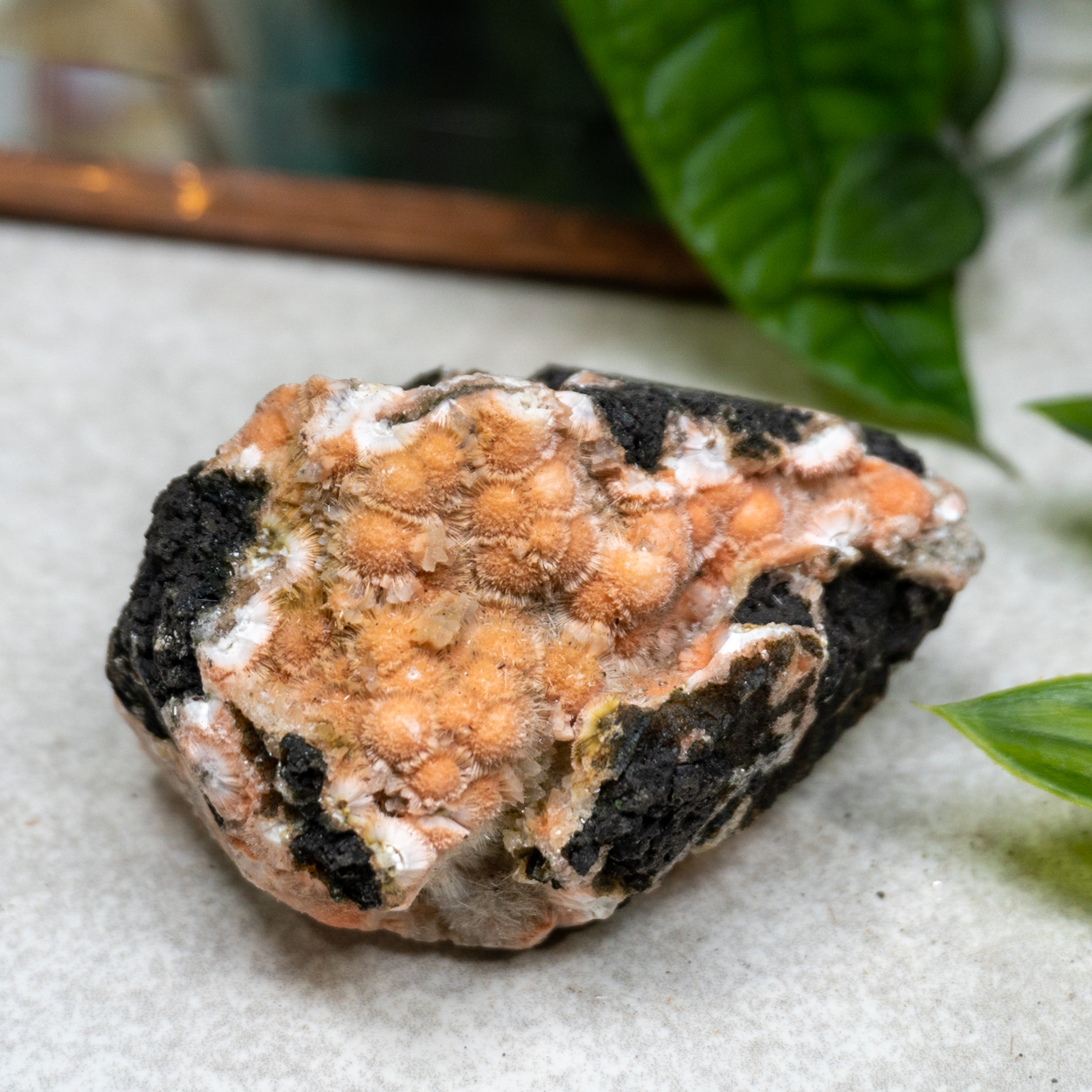 Raw Thomsonite #19 - The Crystal Council