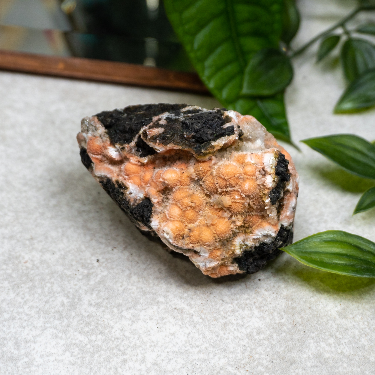 Raw Thomsonite #19 - The Crystal Council