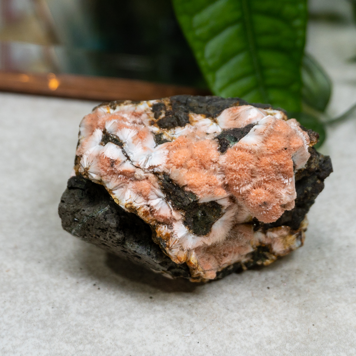 Raw Thomsonite #18 - The Crystal Council