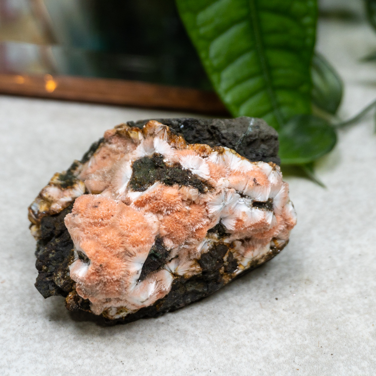 Raw Thomsonite #18 - The Crystal Council