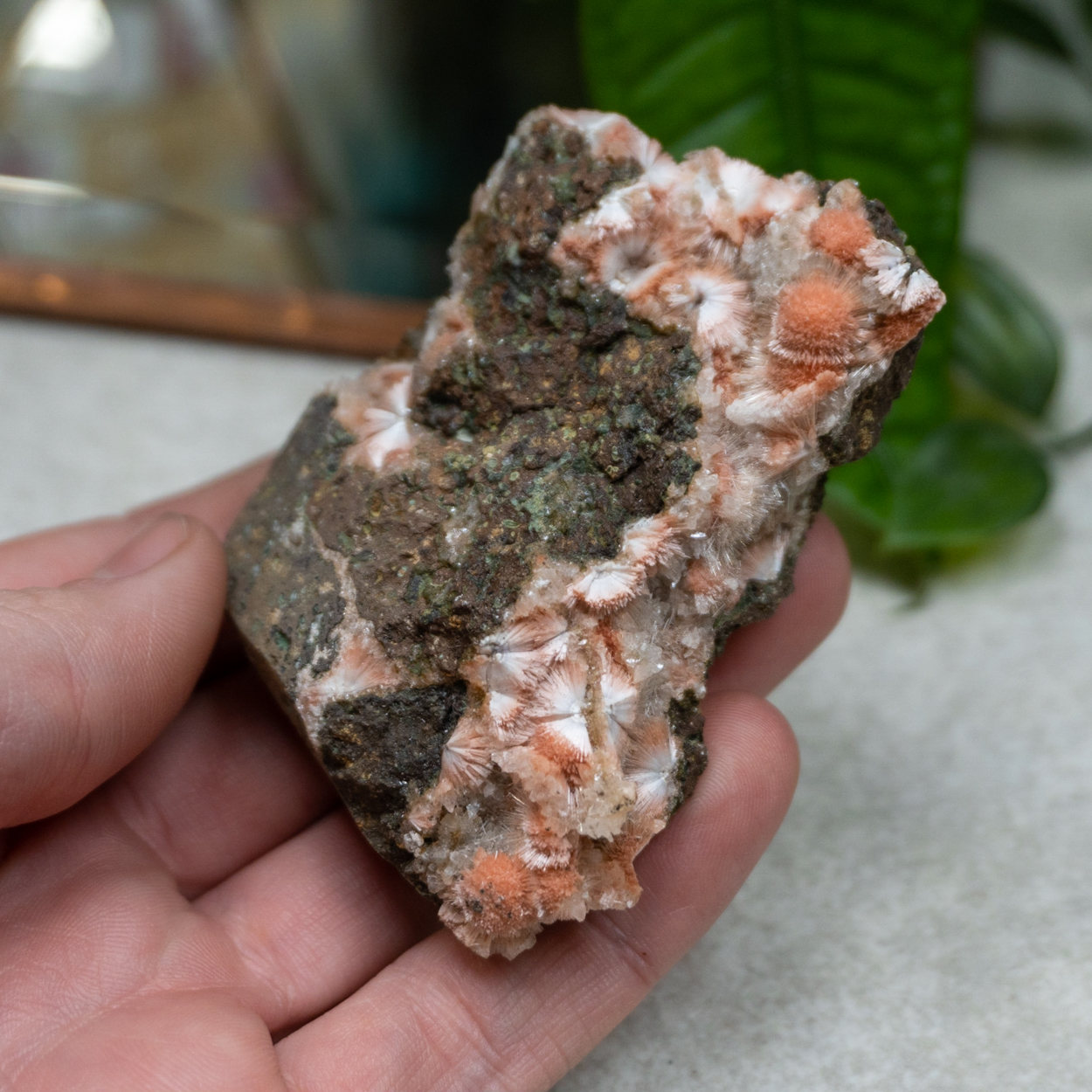 Raw Thomsonite #16 - The Crystal Council