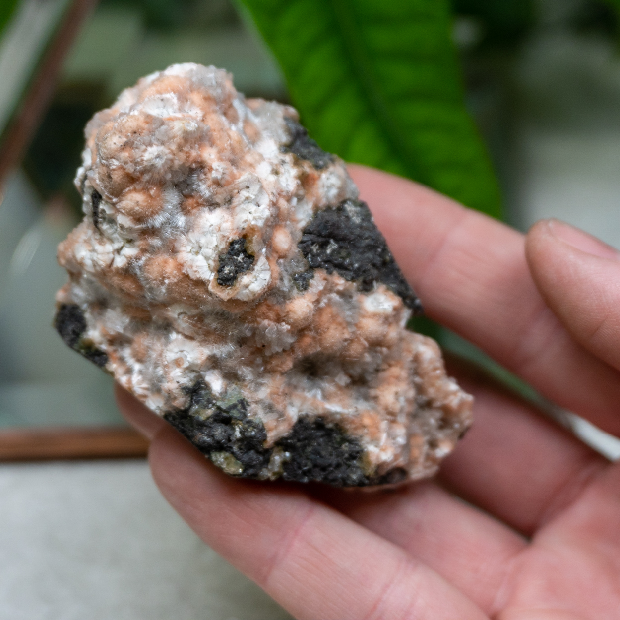 Raw Thomsonite #14 - The Crystal Council