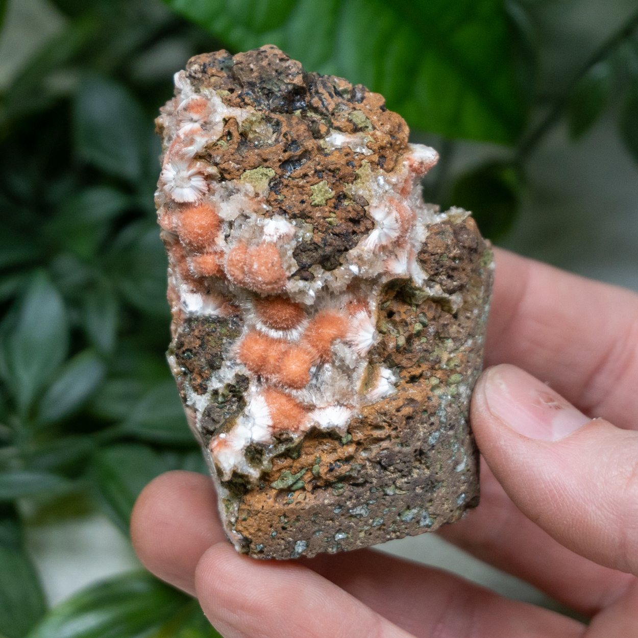 Raw Thomsonite #13 - The Crystal Council