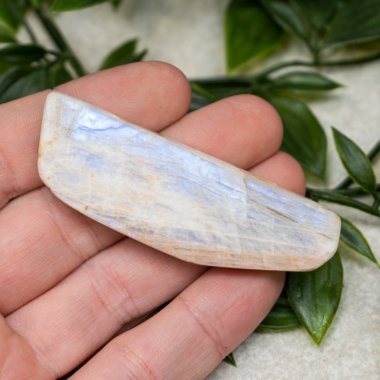 Moonstone Half-Polished Slab - The Crystal Council