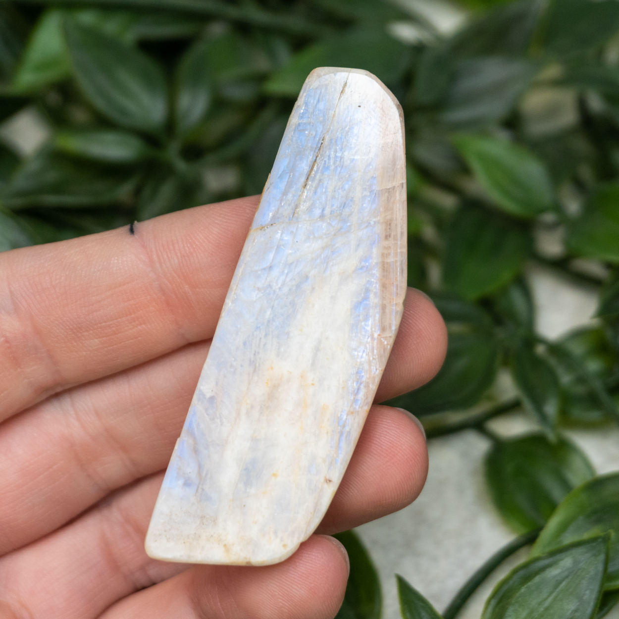 Moonstone Half-Polished Slab - The Crystal Council
