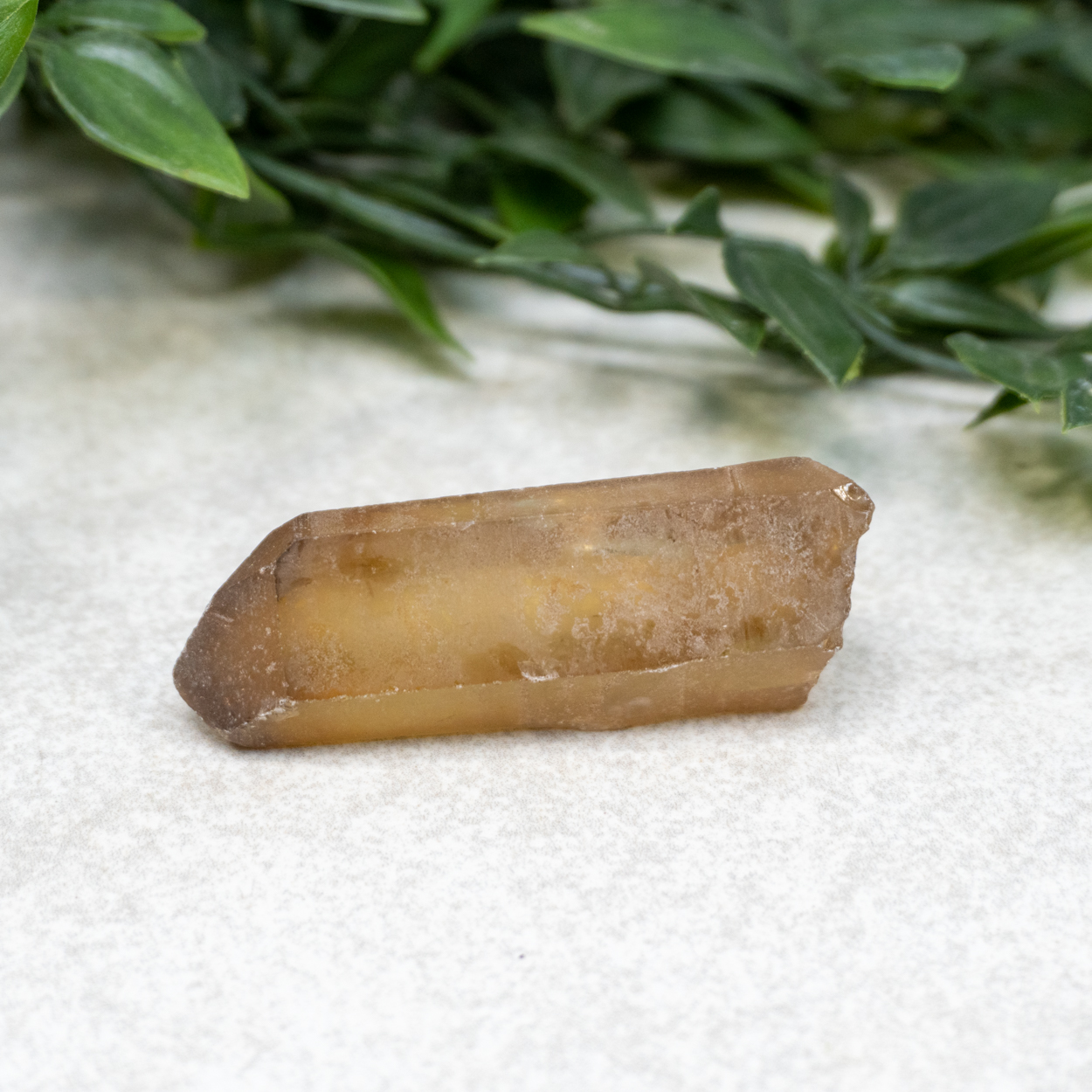 Natural Citrine Point #17 - The Crystal Council