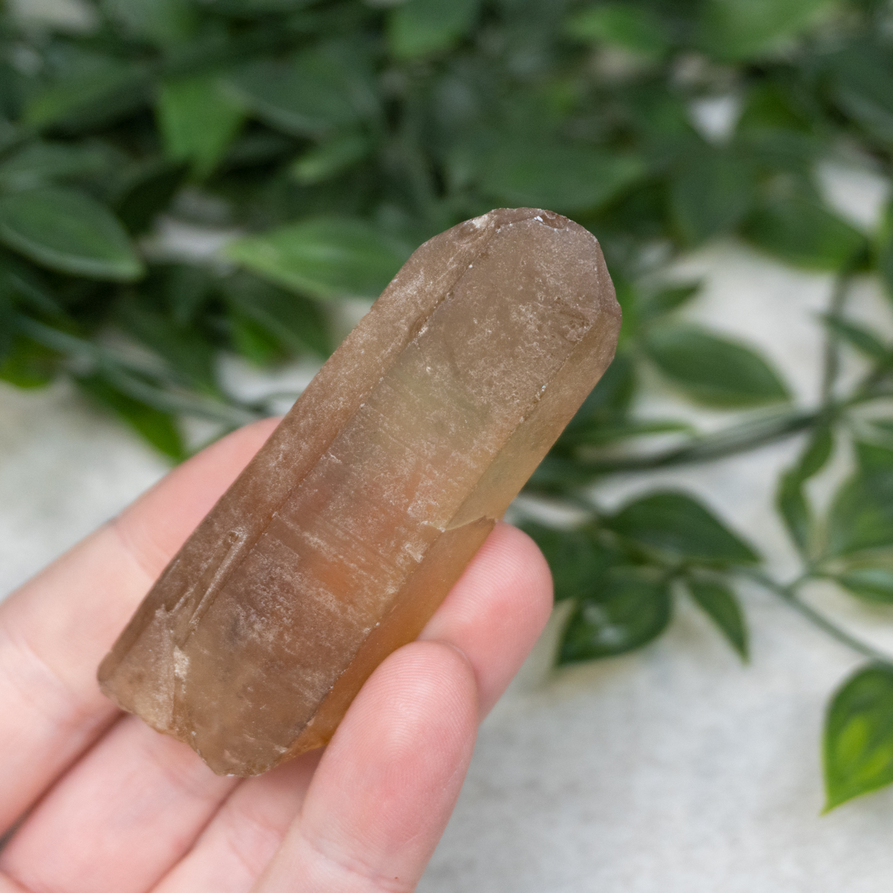 Natural Citrine Point #15 - The Crystal Council