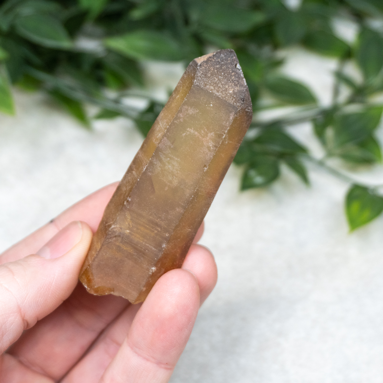 Natural Citrine Point #14 - The Crystal Council