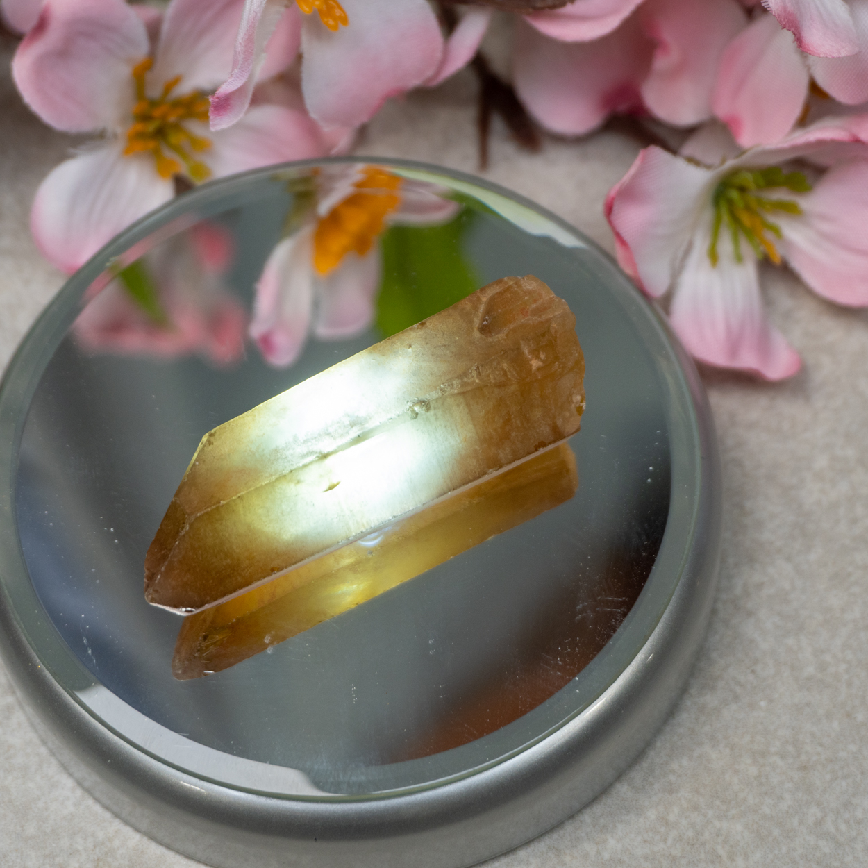 Natural Citrine Point #8 - The Crystal Council