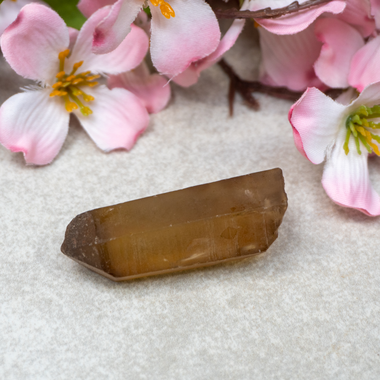 Natural Citrine Point #7 - The Crystal Council