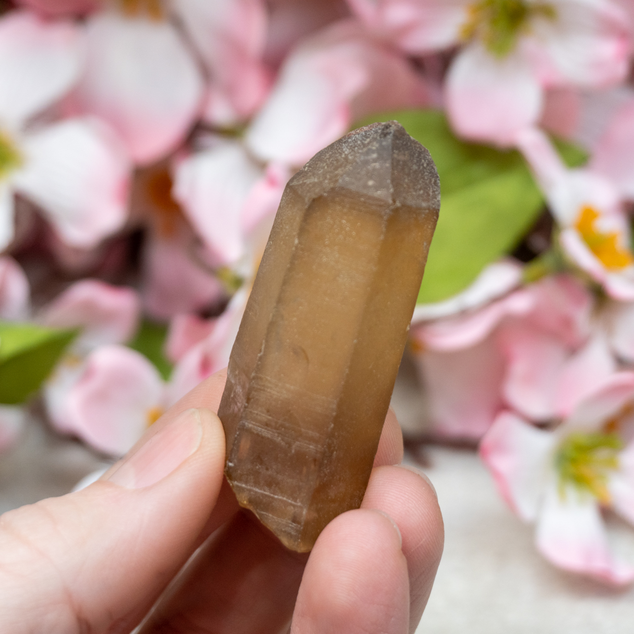 Natural Citrine Point #7 - The Crystal Council