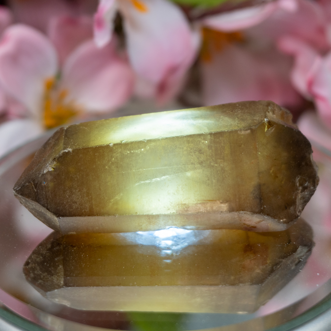 Natural Citrine Point #2 - The Crystal Council