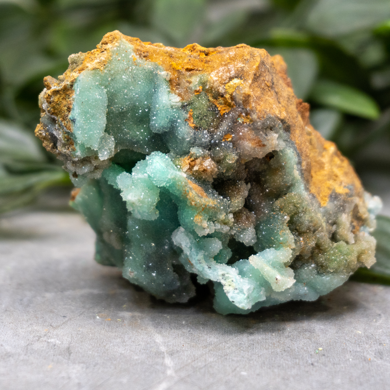 Quartz Covered Chrysoprase #11 - The Crystal Council