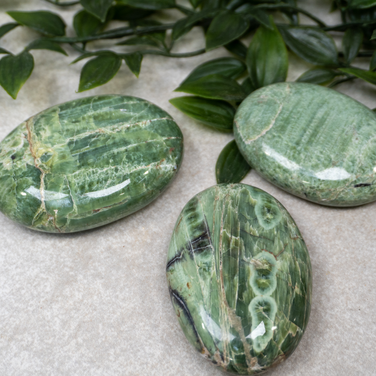 Tremolite Palmstone Random - The Crystal Council