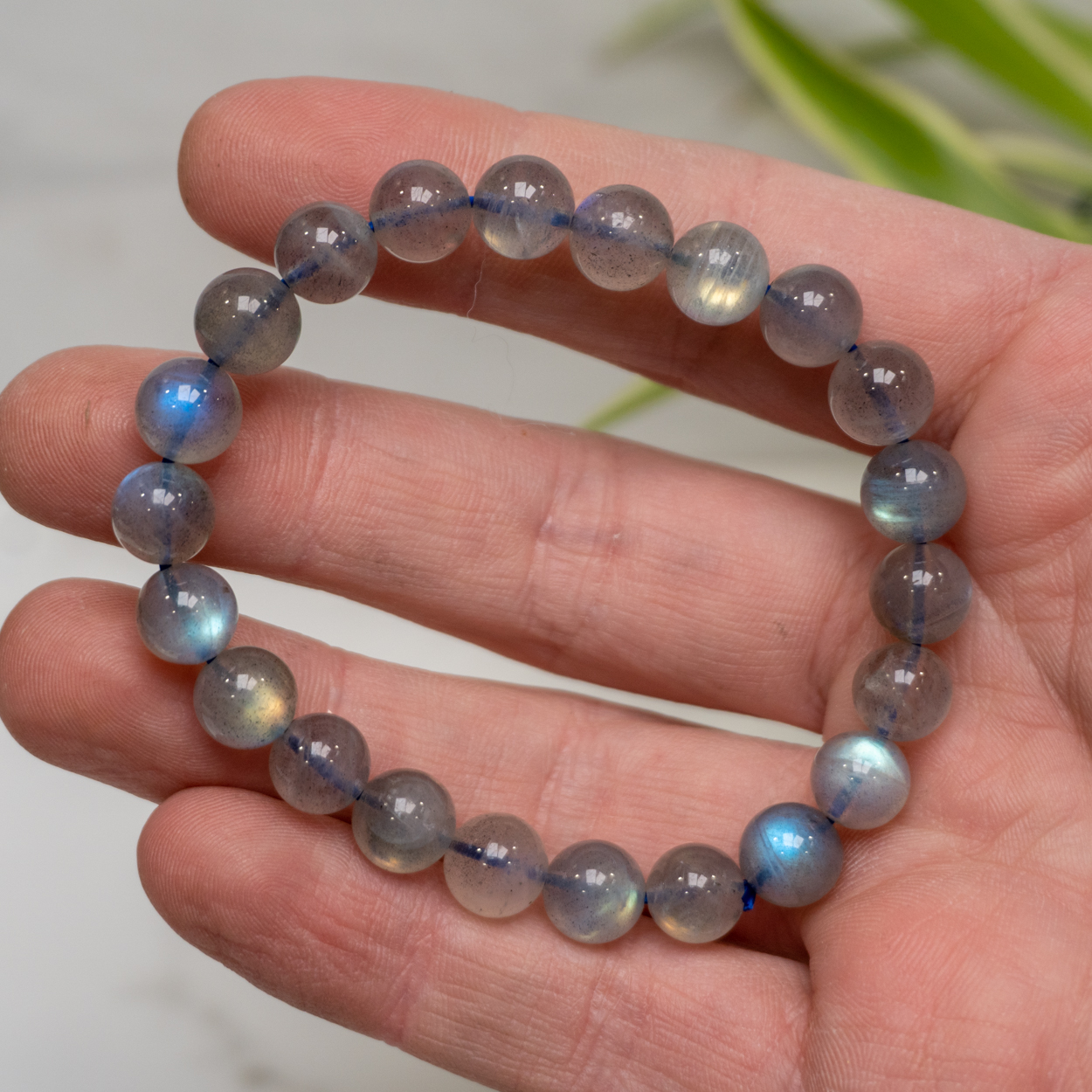 Labradorite High Flash Bracelet 10mm - The Crystal Council
