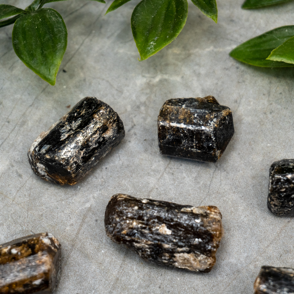 Raw Dravite Random - The Crystal Council