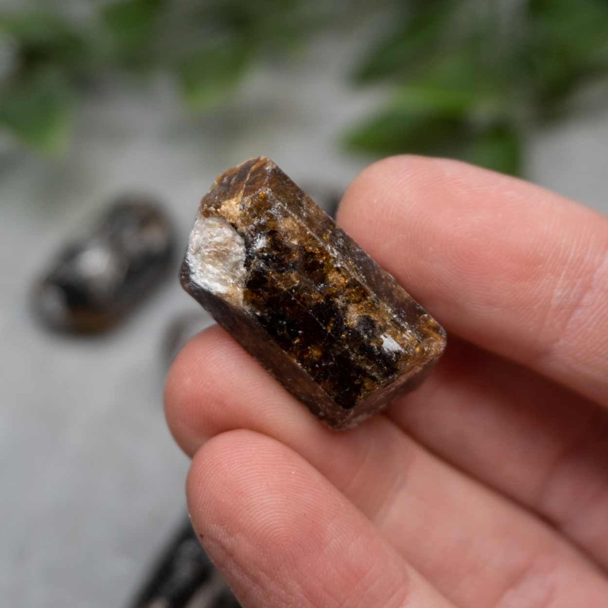 Raw Dravite Random - The Crystal Council