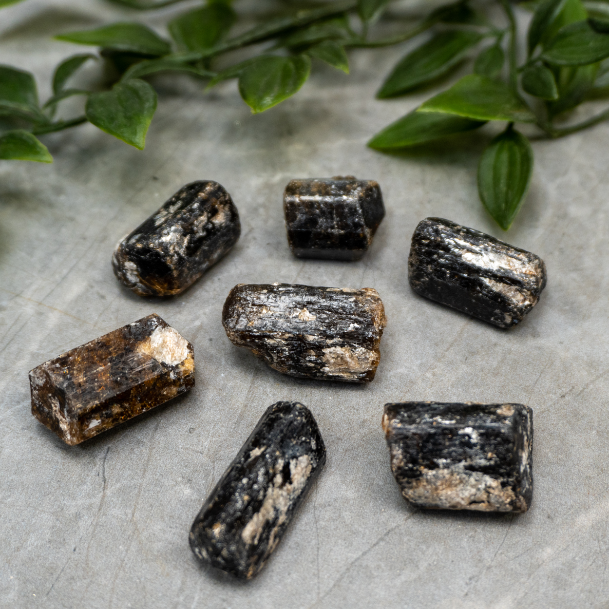 Raw Dravite Random - The Crystal Council