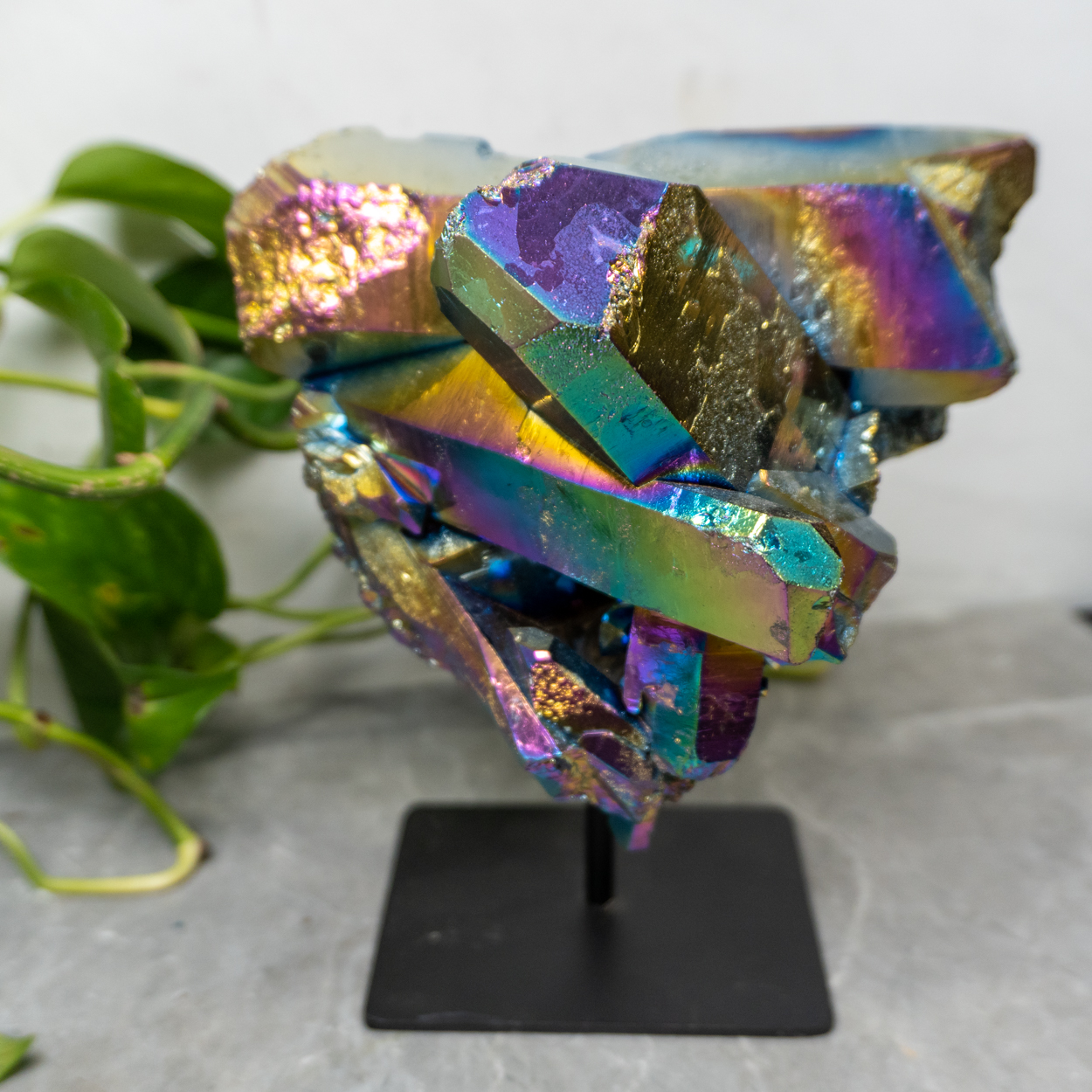 Raw Titanium Quartz on Stand #5 - The Crystal Council