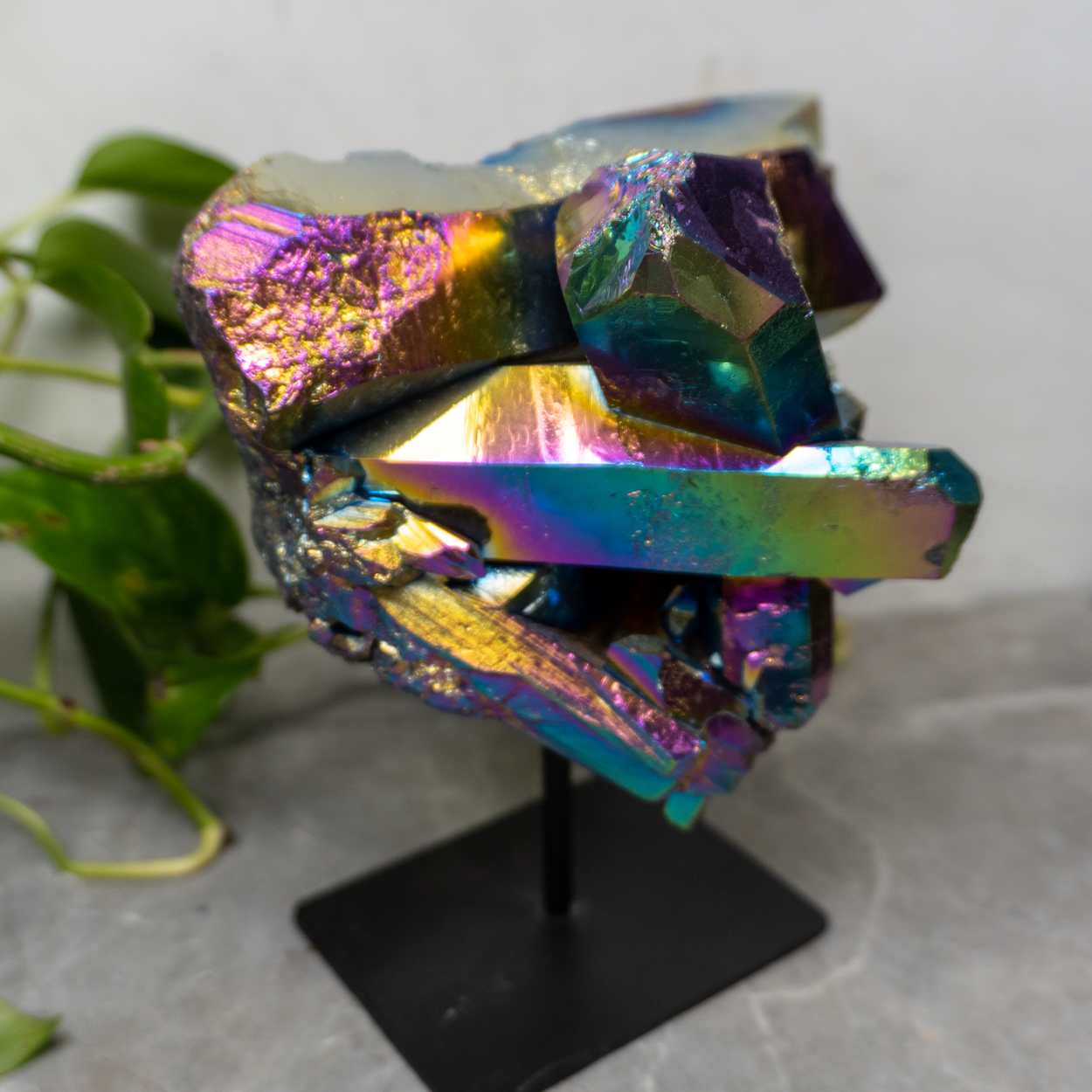 Raw Titanium Quartz on Stand #5 - The Crystal Council