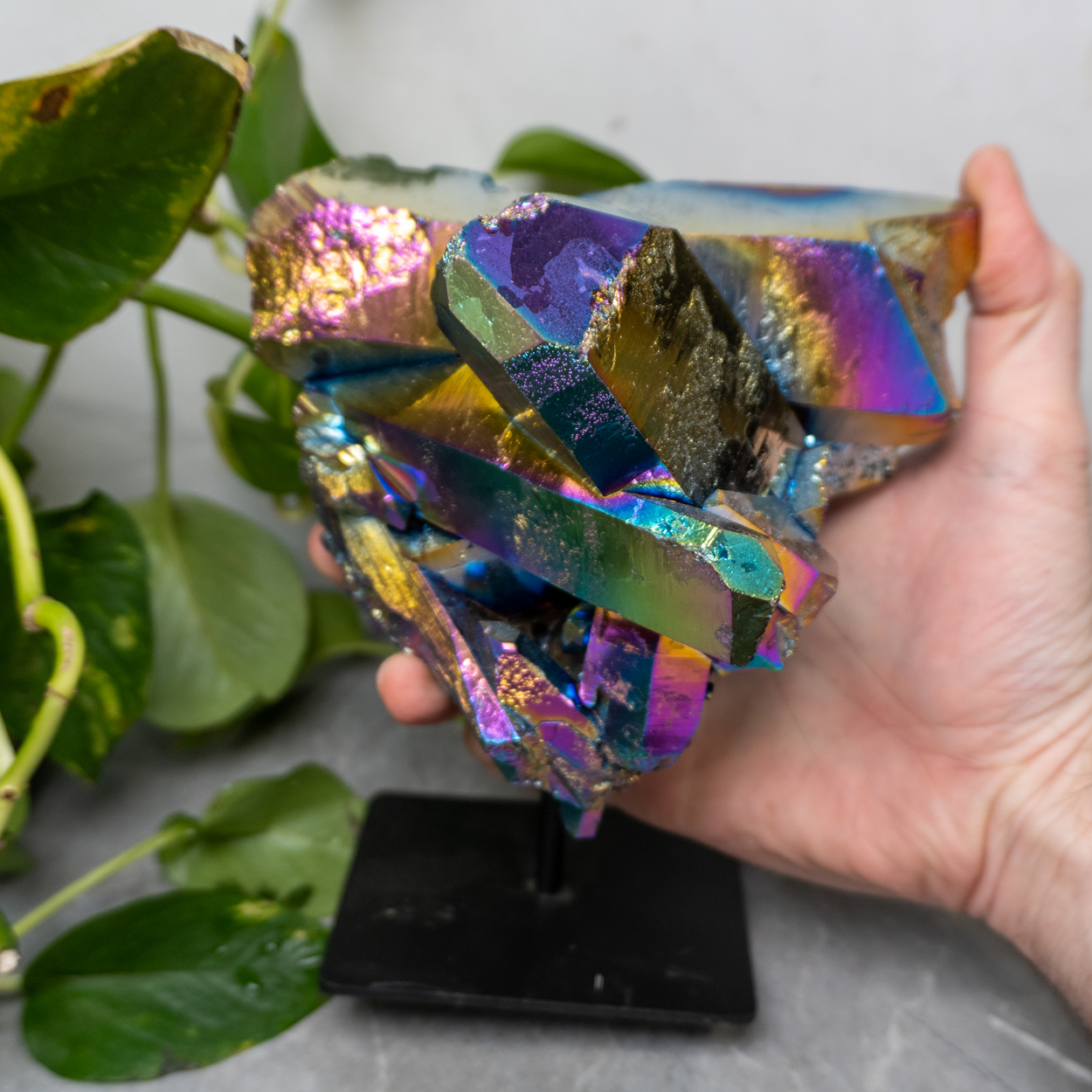 Raw Titanium Quartz on Stand #5 - The Crystal Council