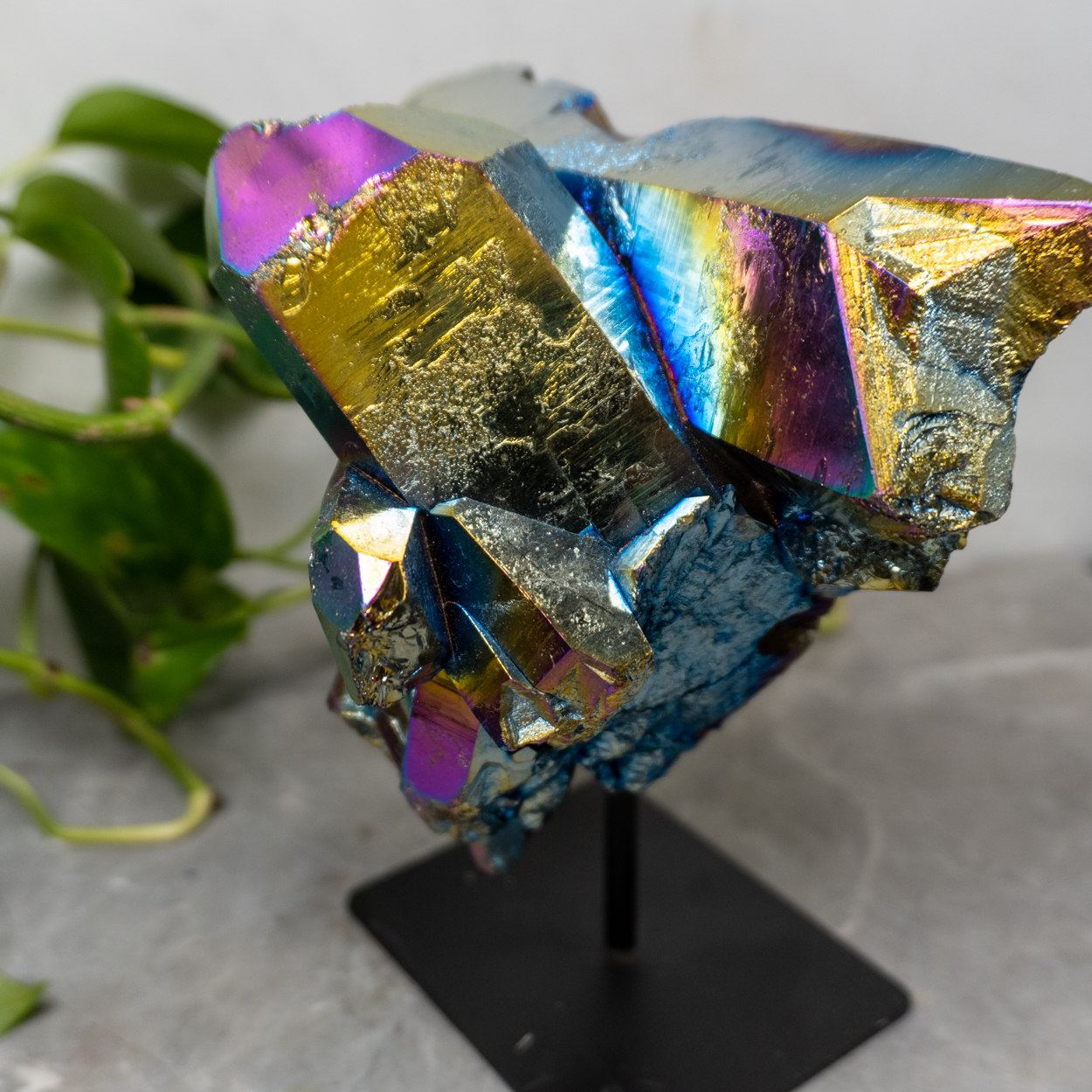 Raw Titanium Quartz on Stand #5 - The Crystal Council