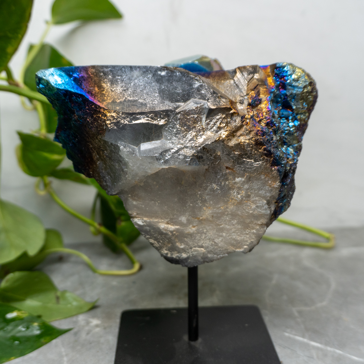 Raw Titanium Quartz on Stand #5 - The Crystal Council