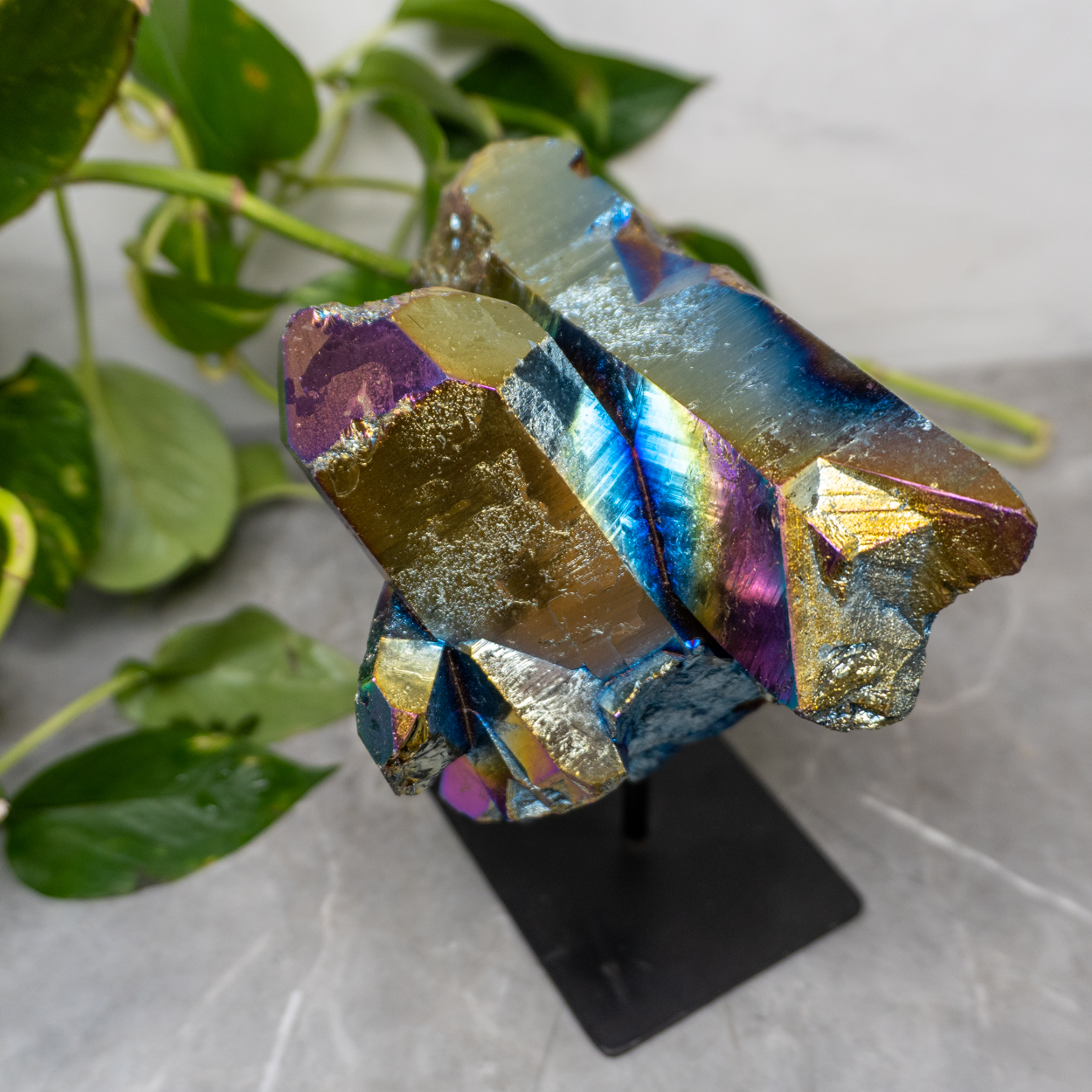Raw Titanium Quartz on Stand #5 - The Crystal Council