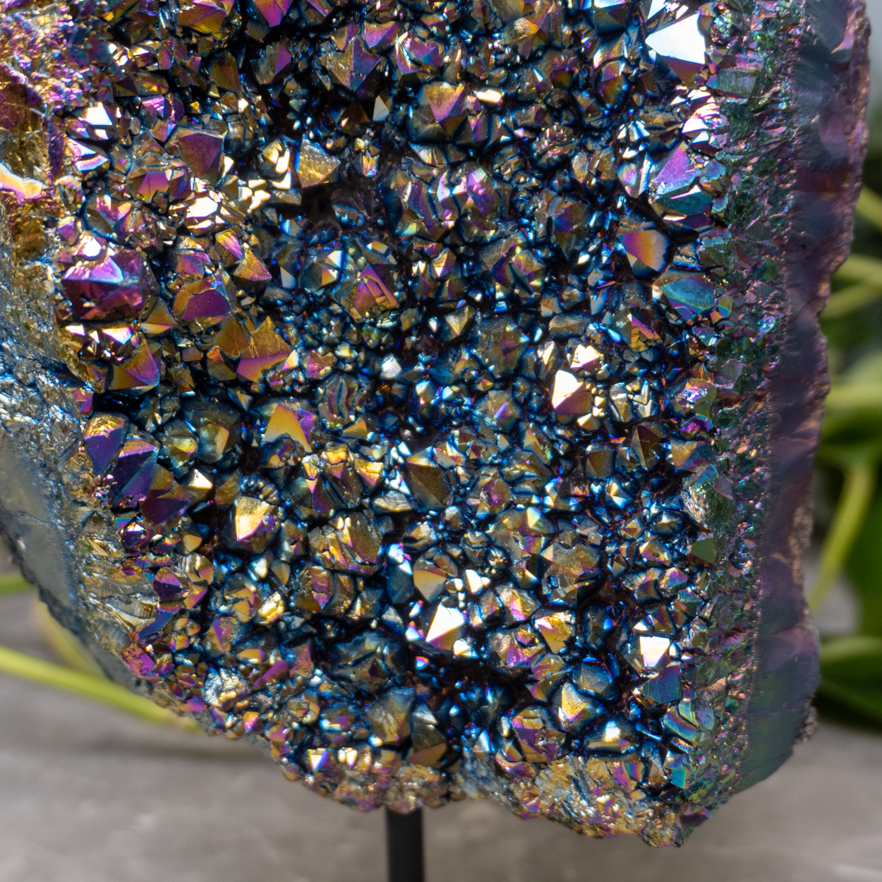 Raw Titanium Quartz on Stand #3 - The Crystal Council