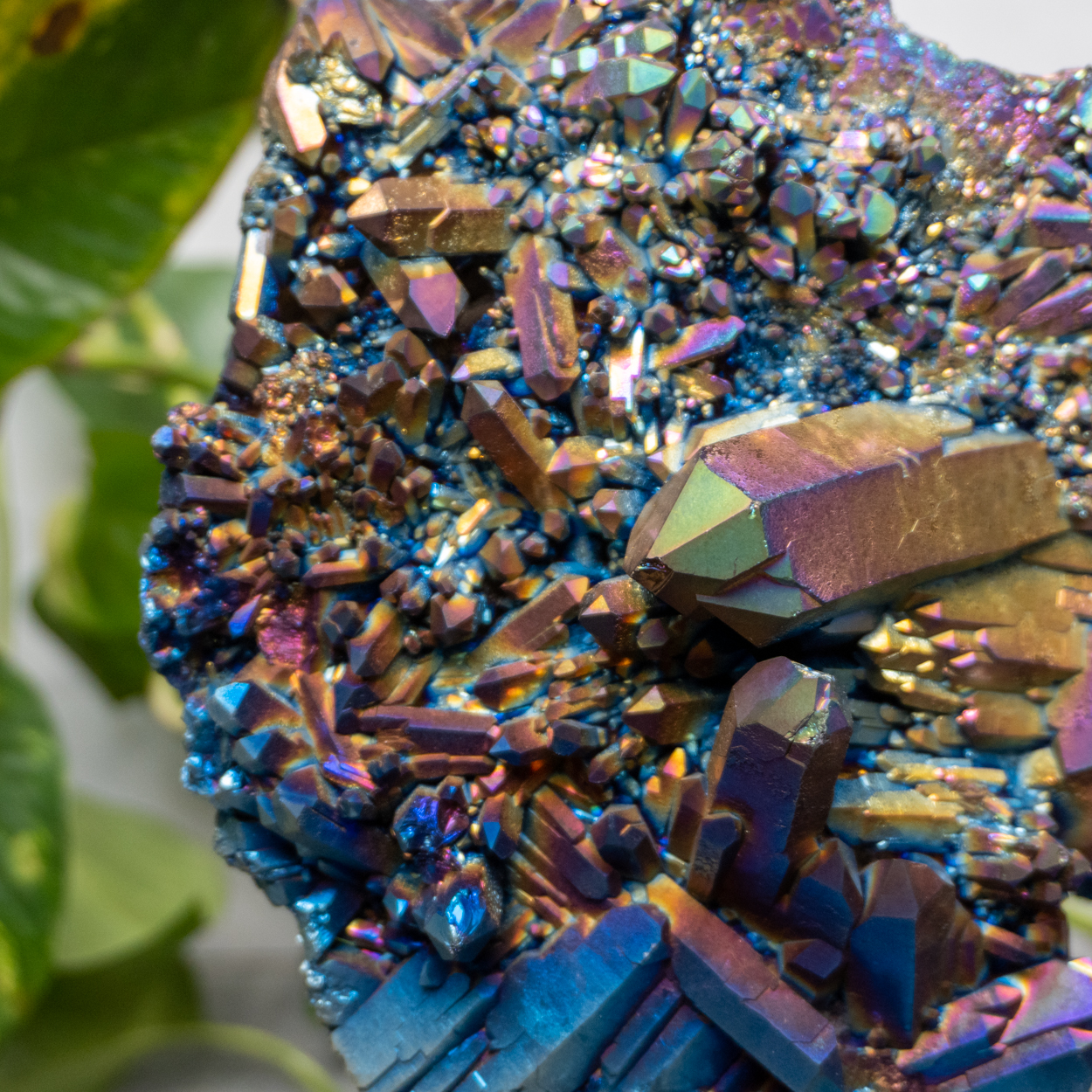 Raw Titanium Quartz on Stand #4 - The Crystal Council