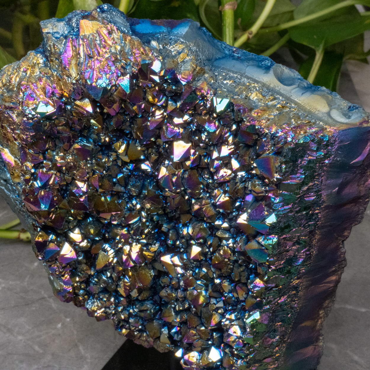 Raw Titanium Quartz on Stand #3 - The Crystal Council