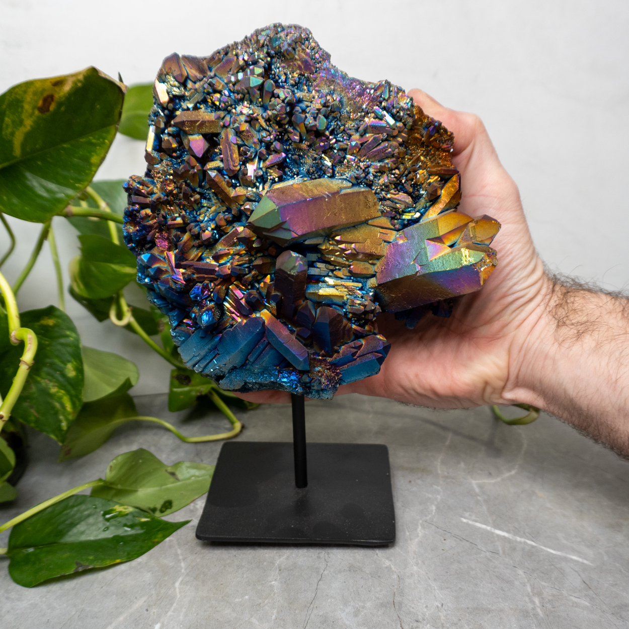Raw Titanium Quartz on Stand #4 - The Crystal Council