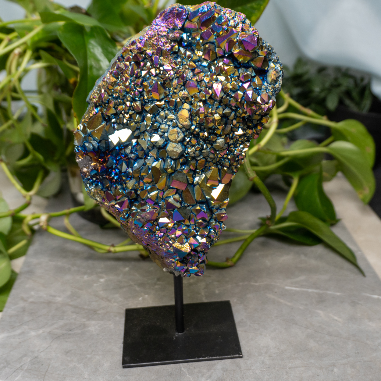 Raw Titanium Quartz on Stand #2 - The Crystal Council