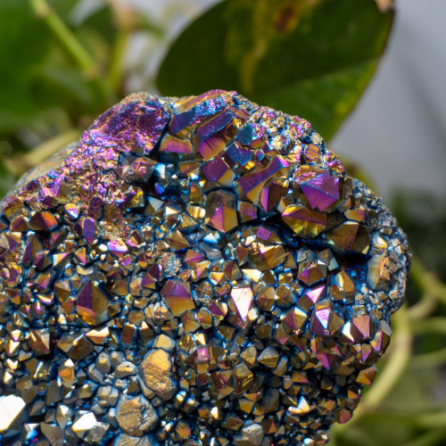 Raw Titanium Quartz on Stand #2 - The Crystal Council