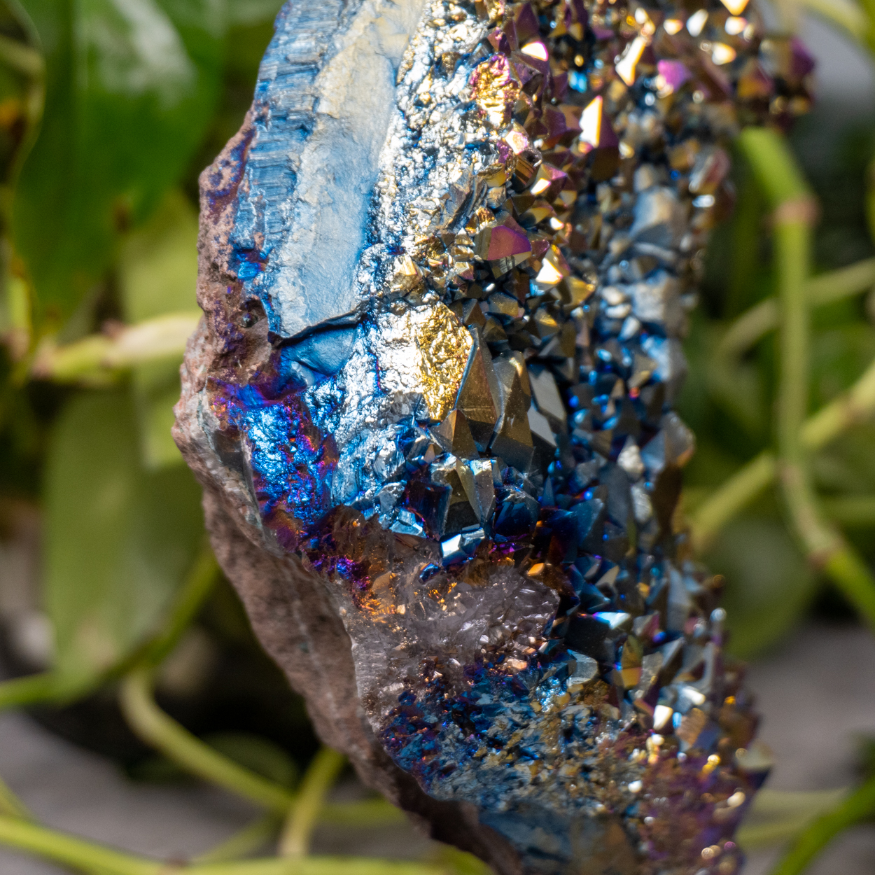 Raw Titanium Quartz on Stand #2 - The Crystal Council