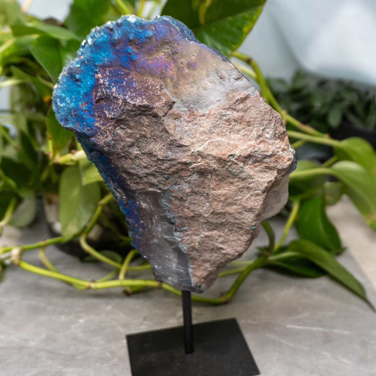 Raw Titanium Quartz on Stand #2 - The Crystal Council