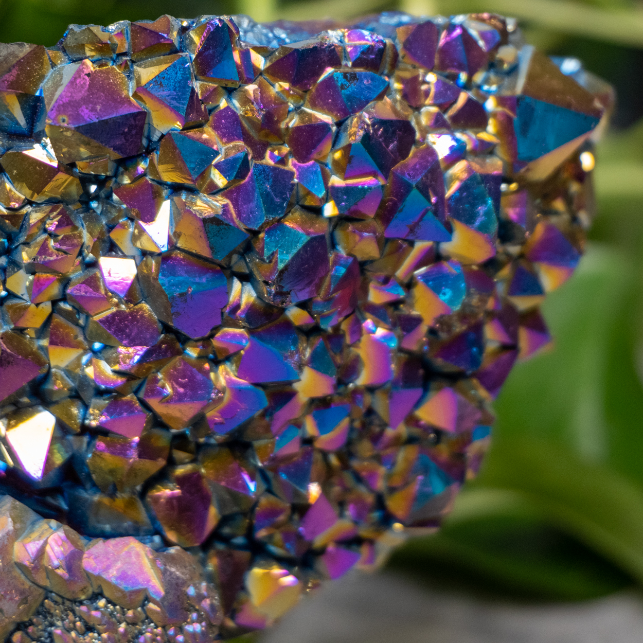 Raw Titanium Quartz on Stand #1 - The Crystal Council