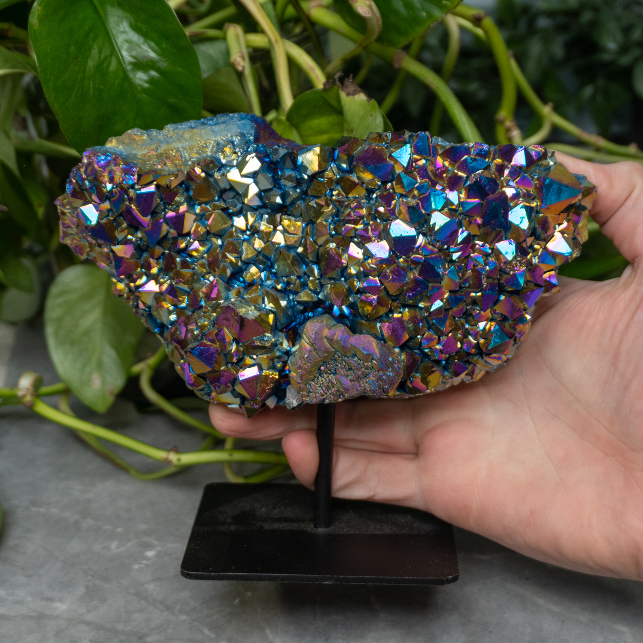 Raw Titanium Quartz on Stand #1 - The Crystal Council