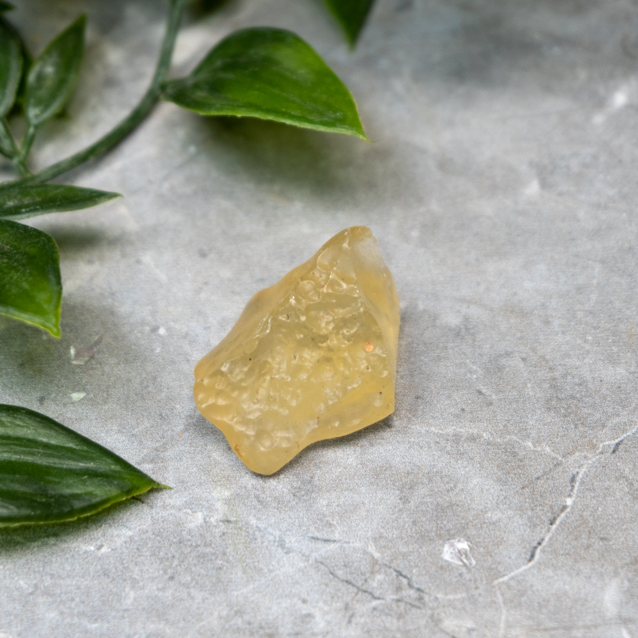 Libyan Desert Glass #12 - The Crystal Council