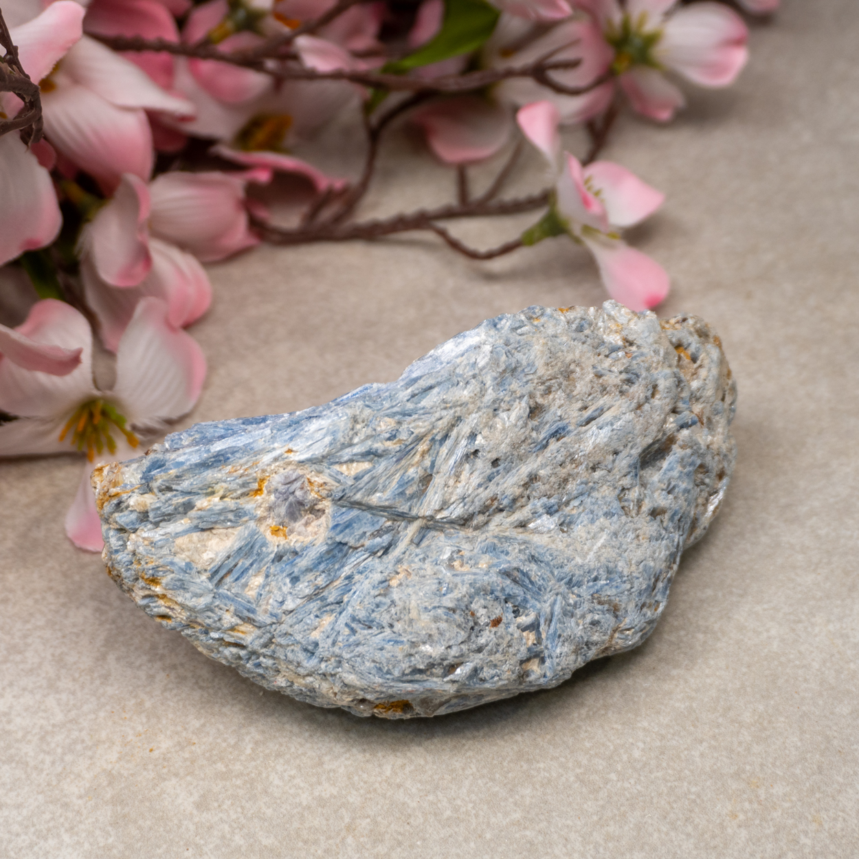 Blue Kyanite #16 - The Crystal Council