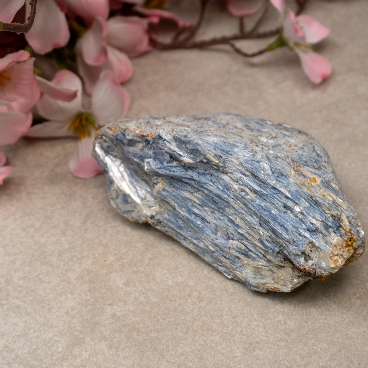 Blue Kyanite #16 - The Crystal Council