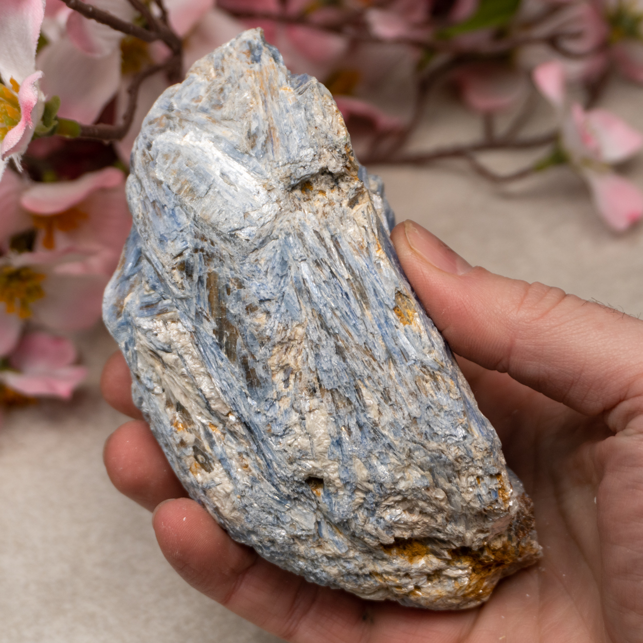 Blue Kyanite #16 - The Crystal Council