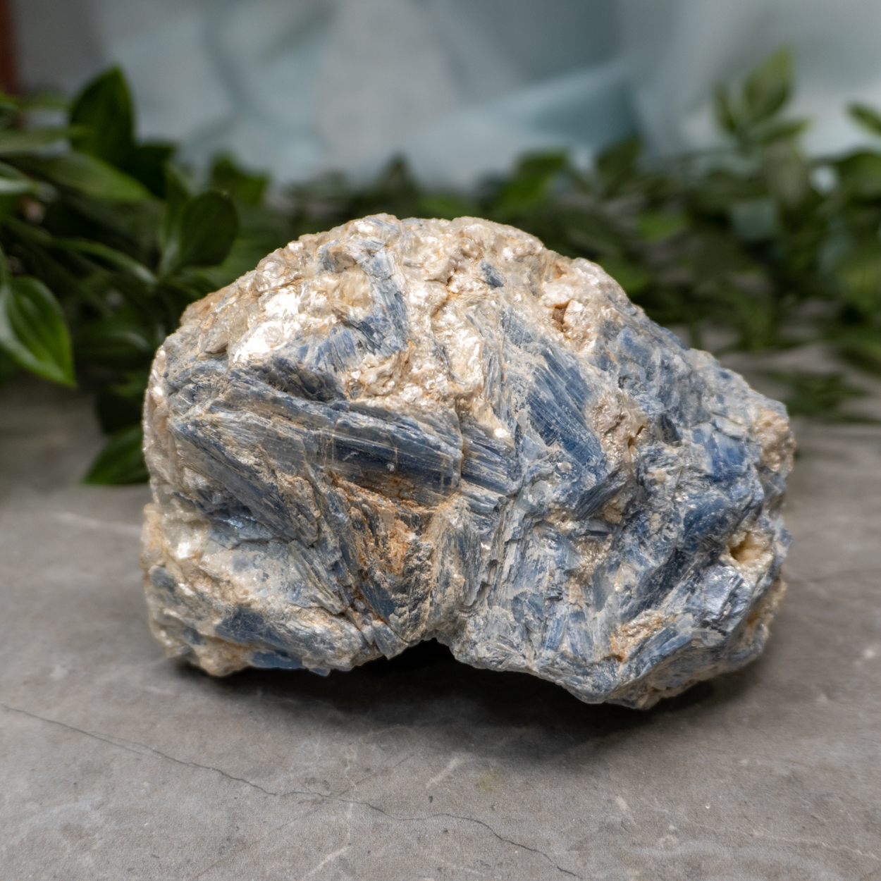 Blue Kyanite #4 - The Crystal Council