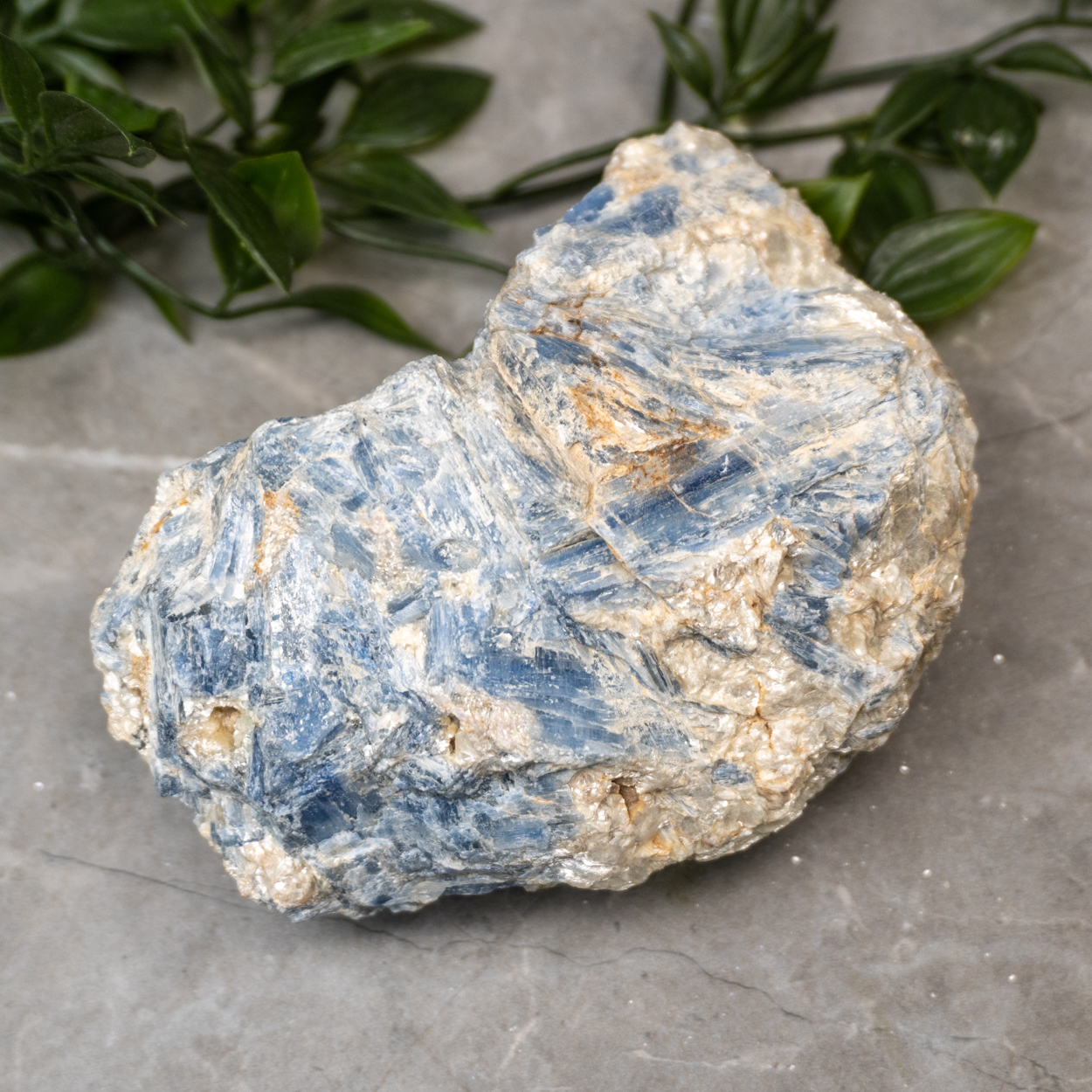 Blue Kyanite #4 - The Crystal Council