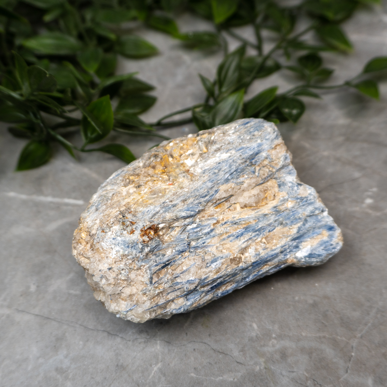 Blue Kyanite #3 - The Crystal Council