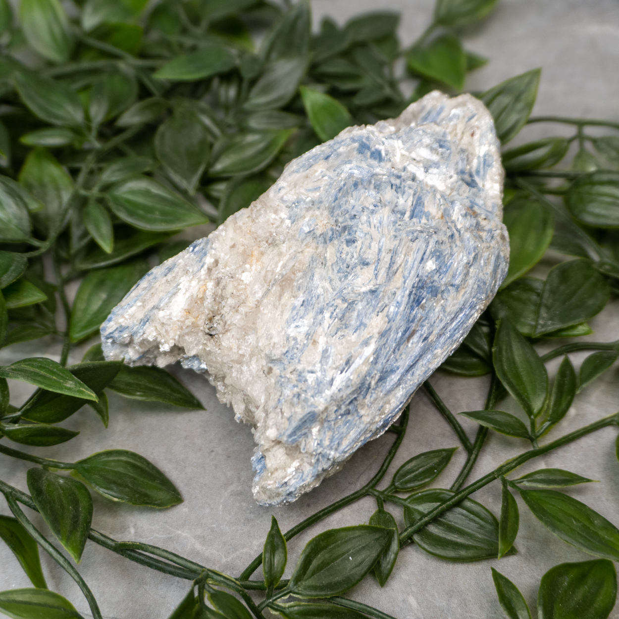 Blue Kyanite #1 - The Crystal Council